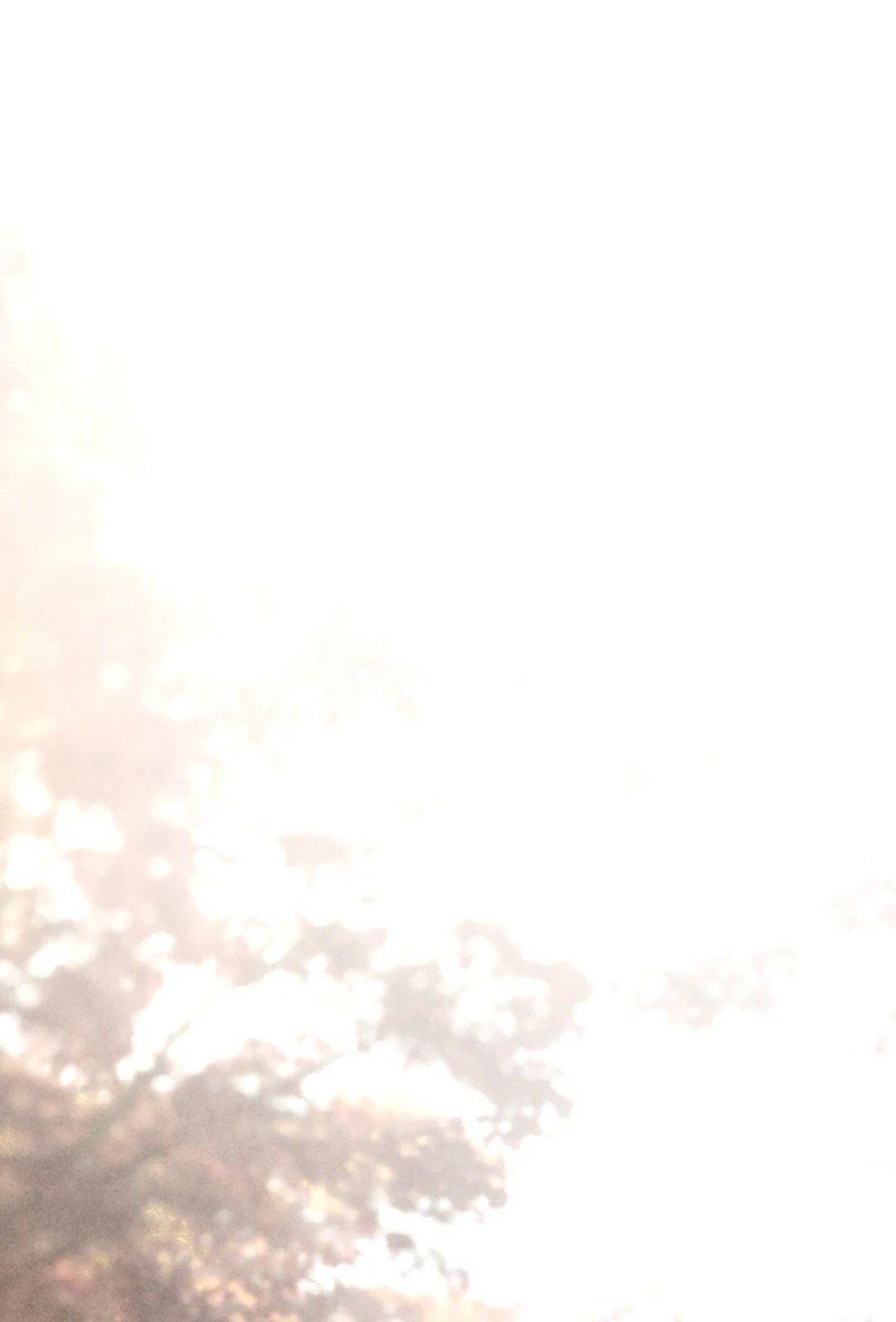 The Royal Bridegroom 39 - Ecchi-doujin.com